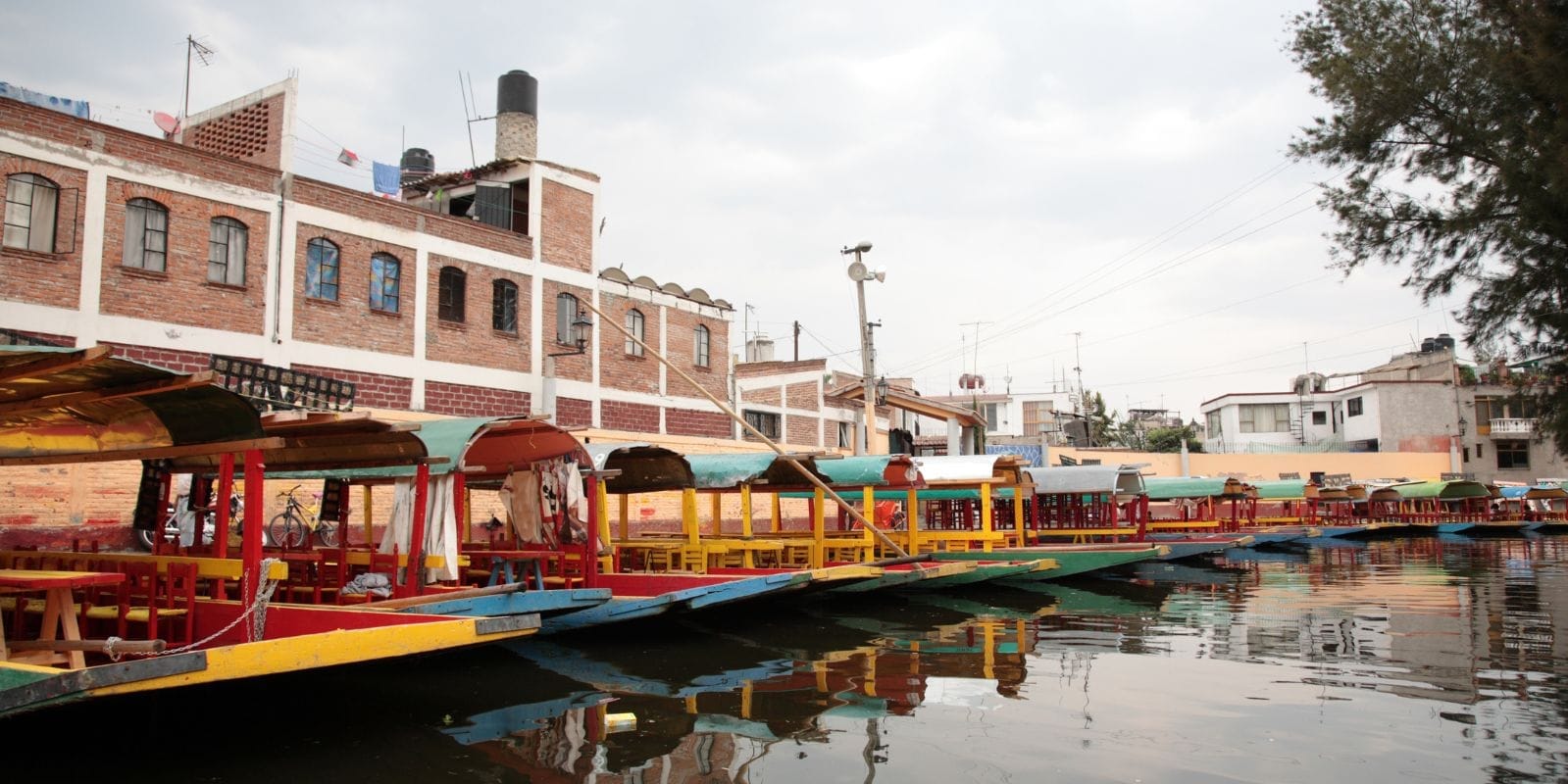 15 Best Things to Do in Mexico City on Your First Trip